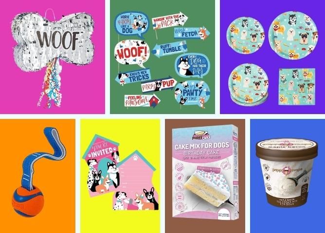 21 Must-Have Accessories for a Successful Dog Birthday Party | Catchy ...