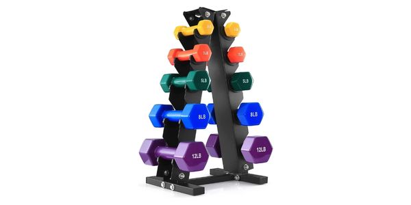 10 Dumbbell Set with Rack Combos for Next-Level Fitness Goals! | Catchy ...