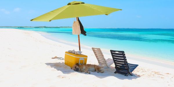 45+ Beach Vacation Must-Haves to Make Your Trip Epic! | Catchy Shopper